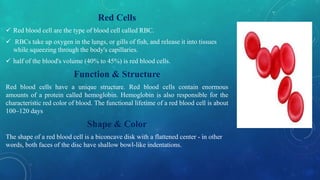 The Anatomy & Physiology of Blood. | PPTX