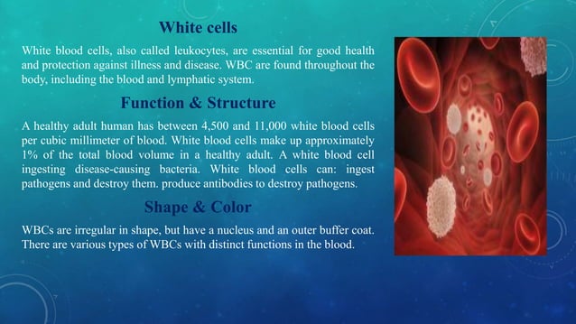The Anatomy & Physiology of Blood. | PPTX