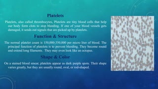 The Anatomy & Physiology of Blood. | PPTX