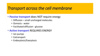membrane transport AIMC | PPTX