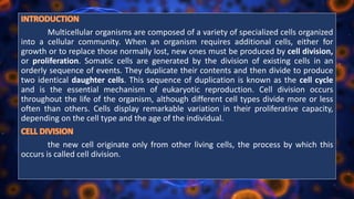 cell cycle | PPT