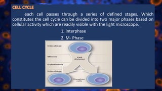 cell cycle | PPT