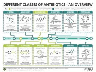 Antibiotic classification | PDF