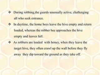 Robbing in honey bees | PPTX