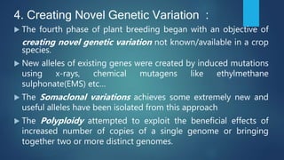 Introduction and History of Plant Breeding | Phases Evolved in Plant Breeding | Chethan ...