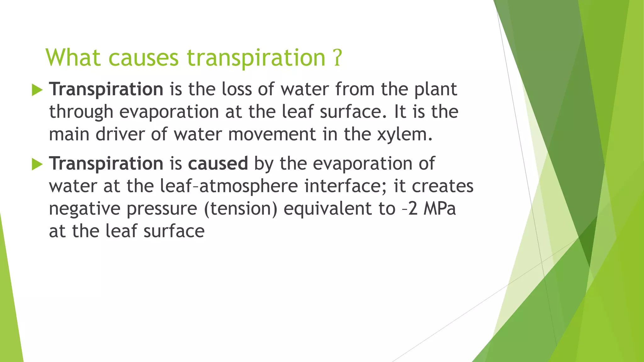 TRANSPIRATION | PPTX