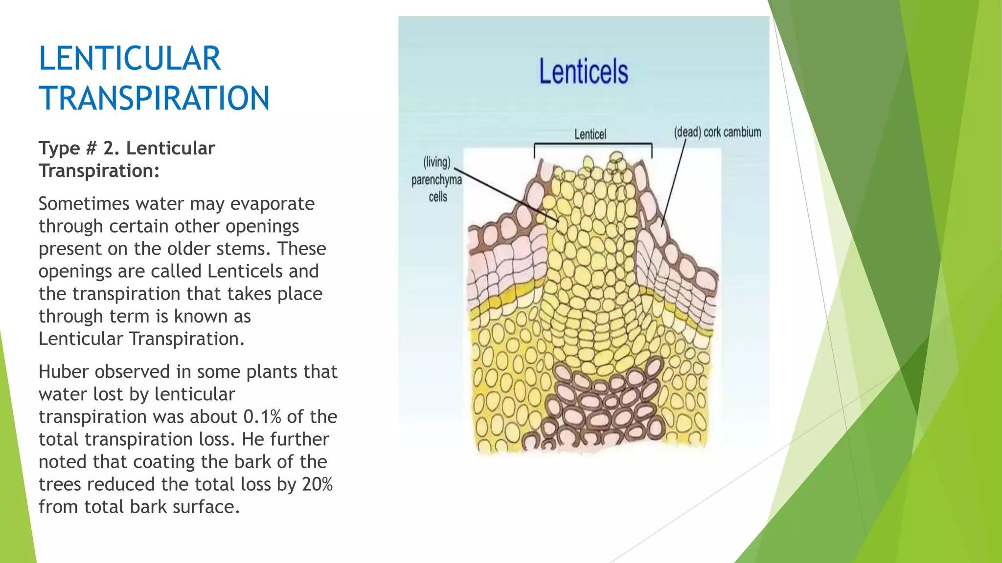 TRANSPIRATION | PPTX