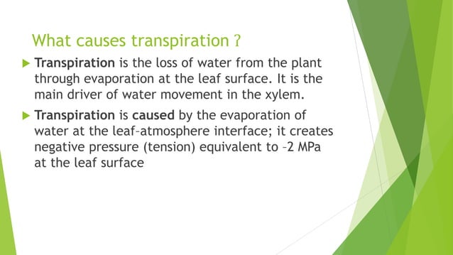 TRANSPIRATION | PPTX