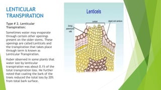 TRANSPIRATION | PPTX