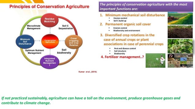 Sustainable Intensification Of Biodiversity In Agroecosystem Through Conservation Agriculture Ppt