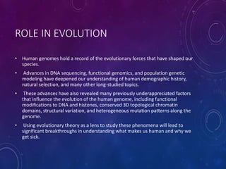 Gene mapping & its role in evolution | PPTX