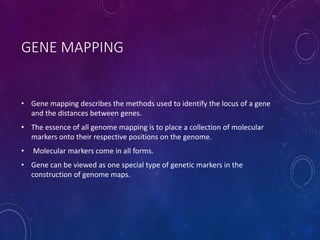 Gene mapping & its role in evolution | PPT