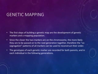 Gene mapping & its role in evolution | PPT