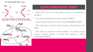 New microsoft power point presentation | PPTX | Blood Disorders ...