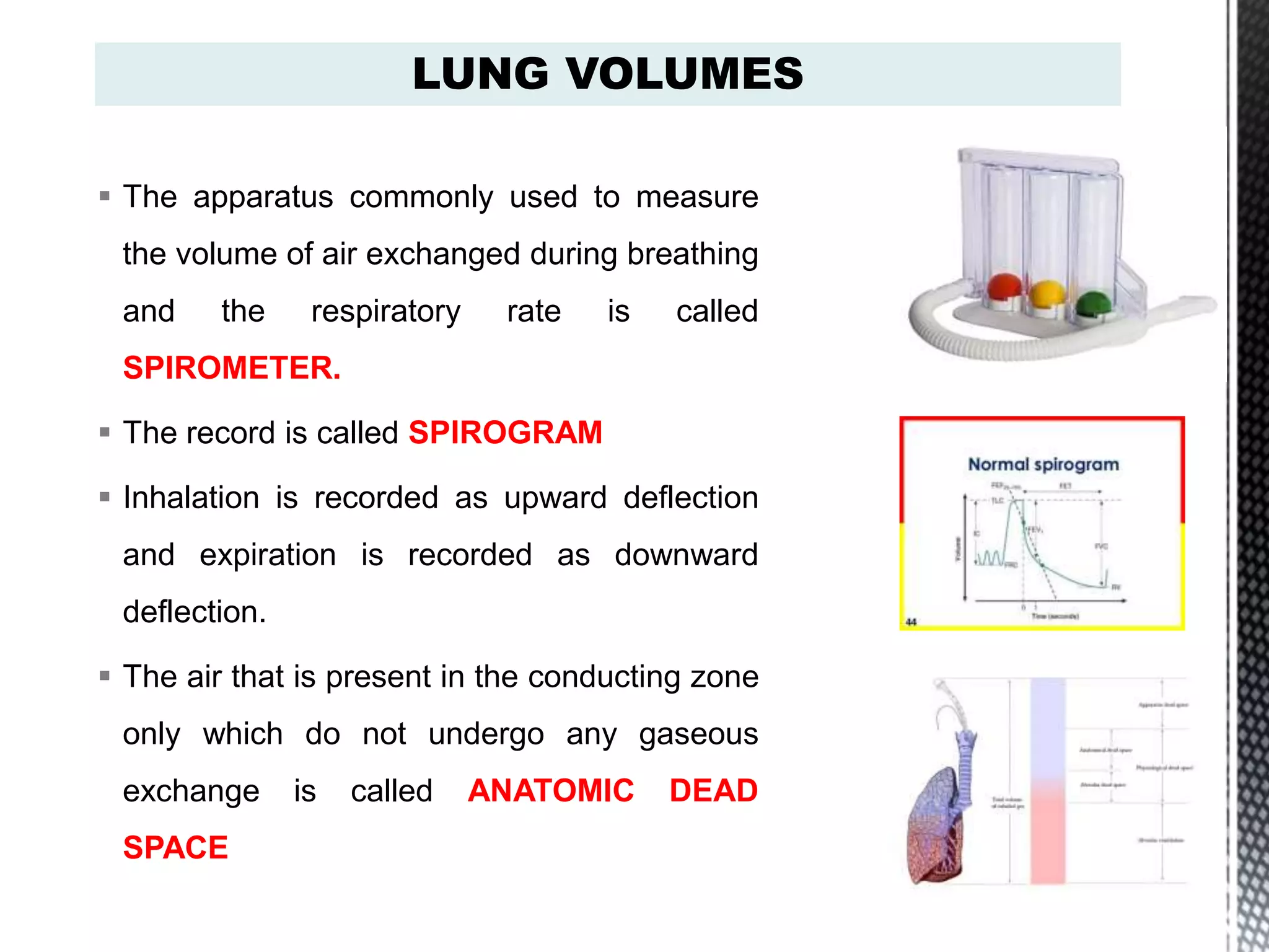 LUNG VOLUMES AND CAPACITIES | PPTX