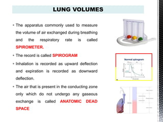 LUNG VOLUMES AND CAPACITIES | PPTX