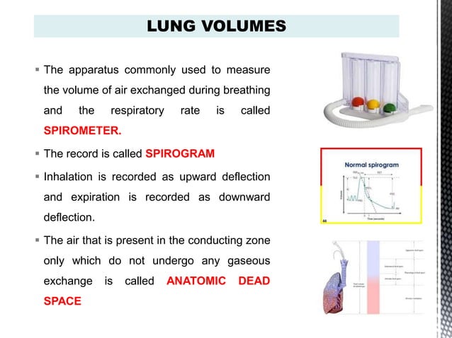 LUNG VOLUMES AND CAPACITIES | PPTX