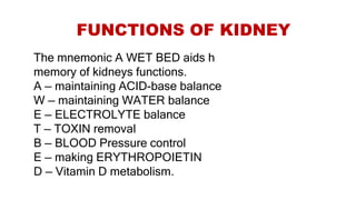 a study on renal physiology | PPTX