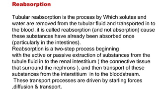 a study on renal physiology | PPTX
