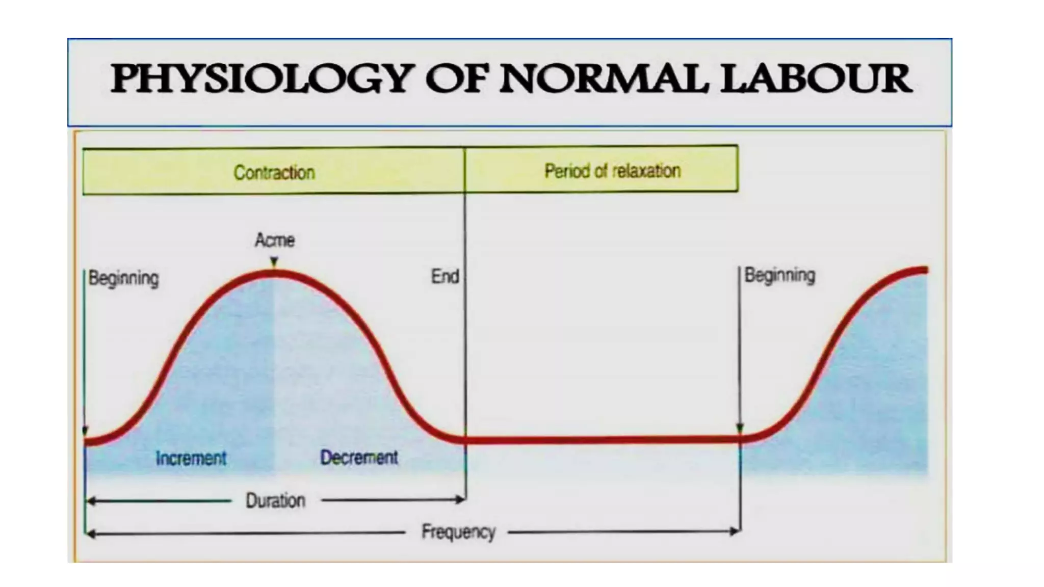 a detail study on normal labour ( definition, stages of labour ...