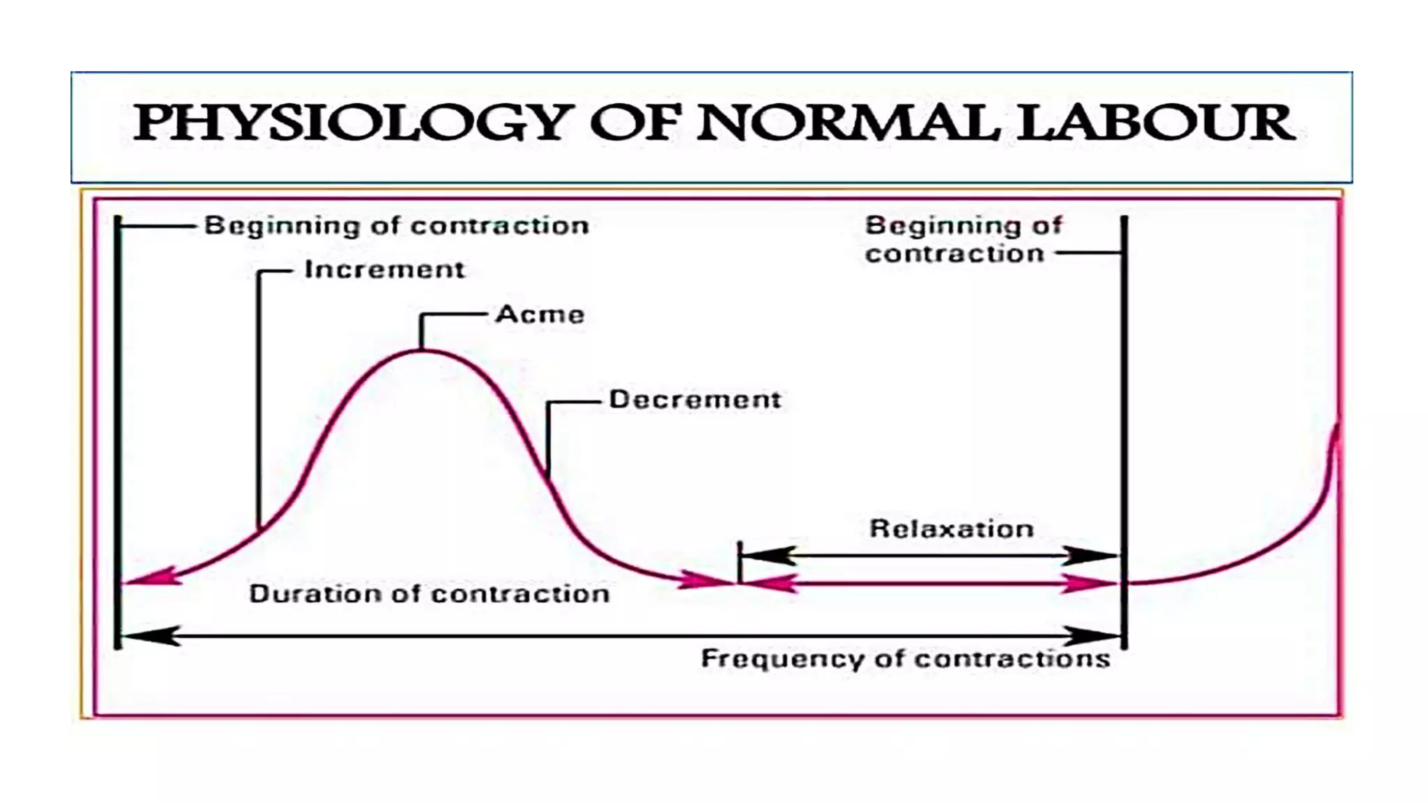 a detail study on normal labour ( definition, stages of labour ...