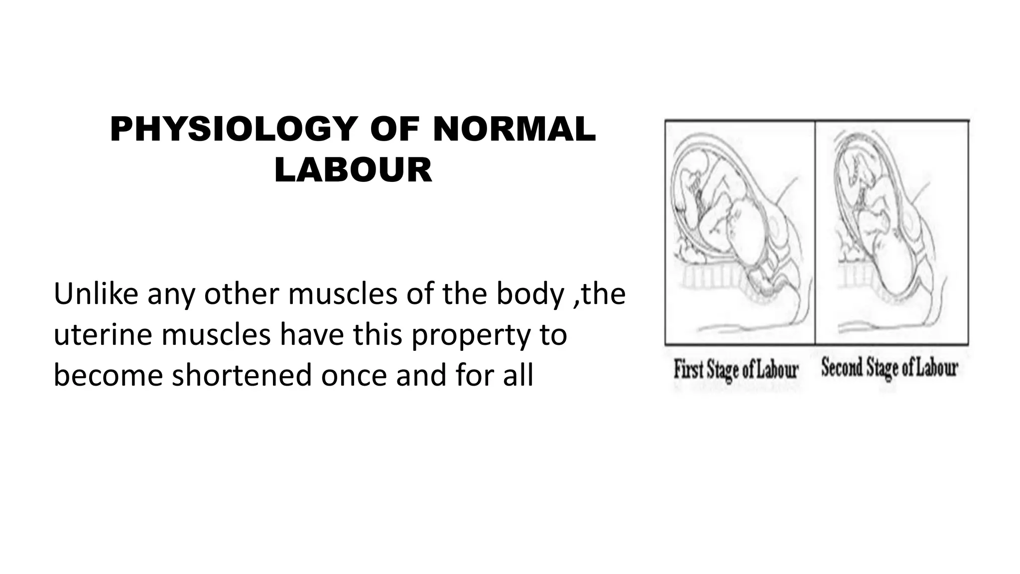 a detail study on normal labour ( definition, stages of labour ...
