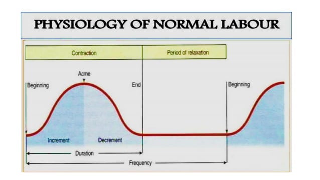 a detail study on normal labour ( definition, stages of labour ...