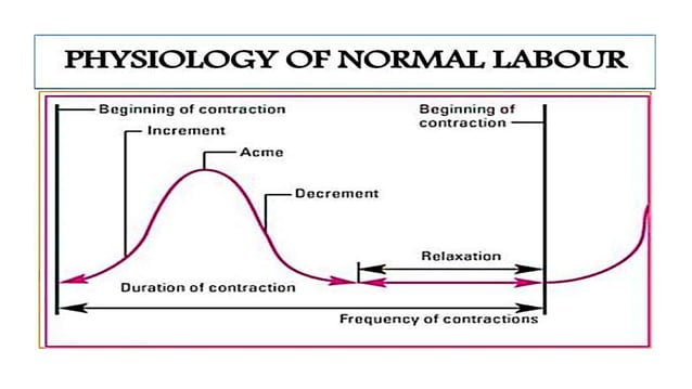 a detail study on normal labour ( definition, stages of labour ...