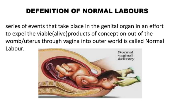a detail study on normal labour ( definition, stages of labour, management ,physiology) | PPTX ...