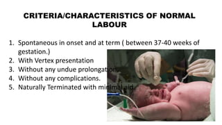 a detail study on normal labour ( definition, stages of labour ...
