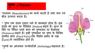 Flower \ morphology of plant \flower structure and functions | PPTX