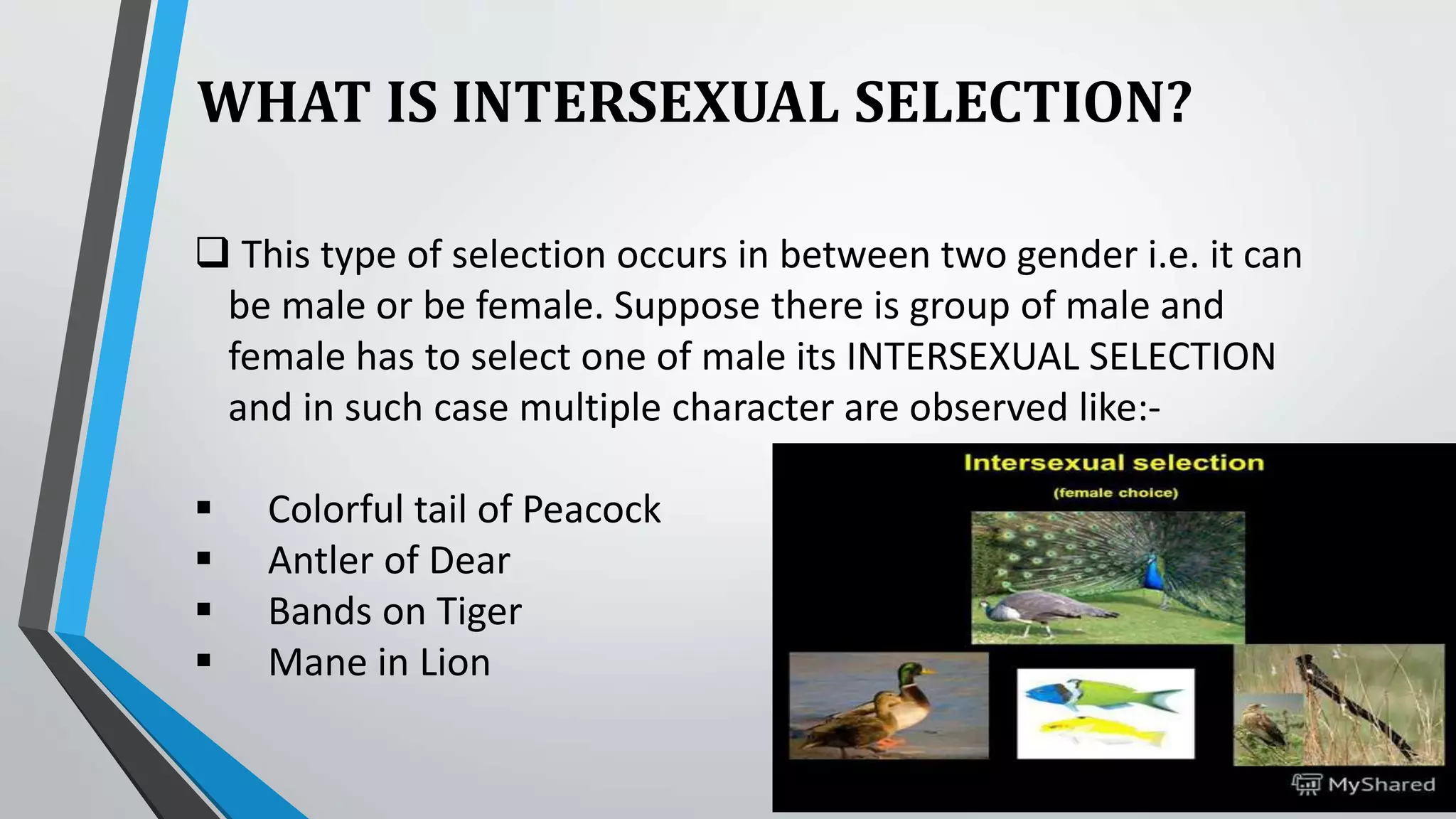 Sexual selection | PPTX