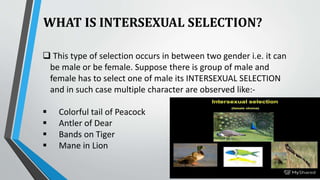 Sexual selection | PPTX