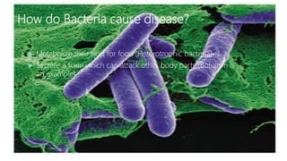 Evolutionary tendencies in Monera by sohail | PPTX