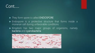 Evolutionary tendencies in Monera by sohail | PPTX
