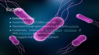 Evolutionary tendencies in Monera by sohail | PPTX