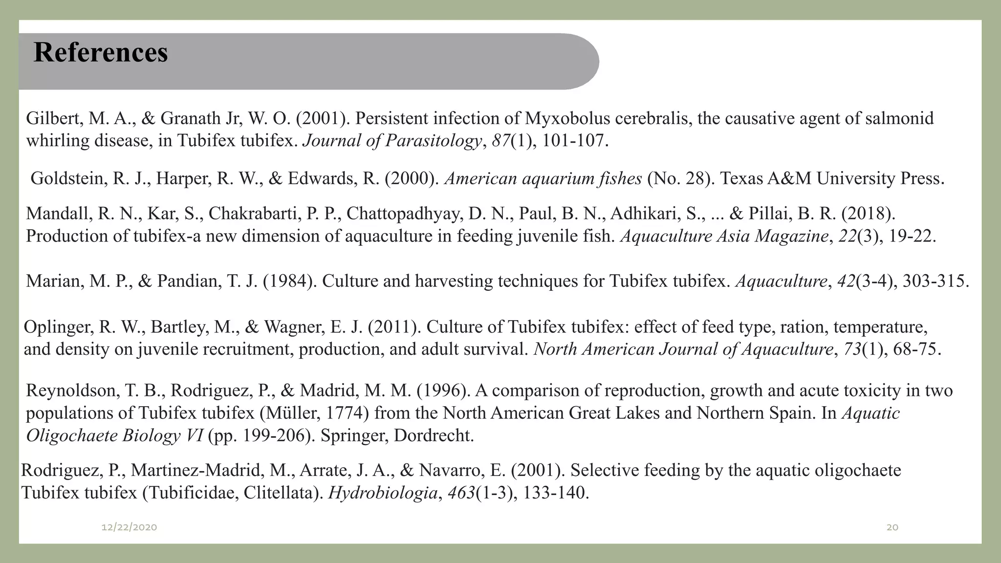 Tubifex worm as live feed in Aquaculture | PPTX