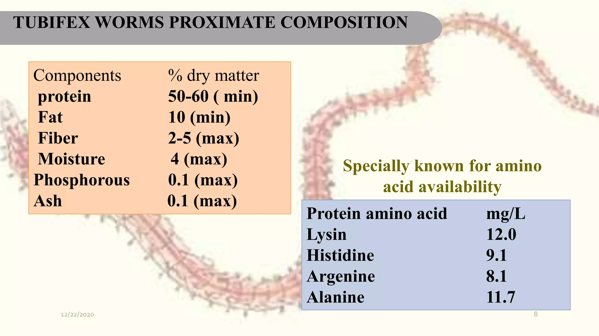 Tubifex worm as live feed in Aquaculture | PPTX