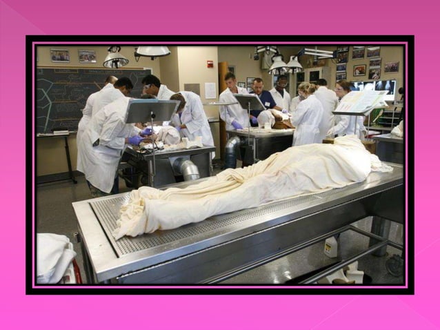 disposal of waste and dead bodies | PPTX