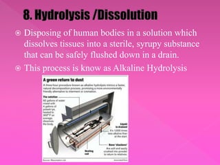 Disposal Of Human Corpses