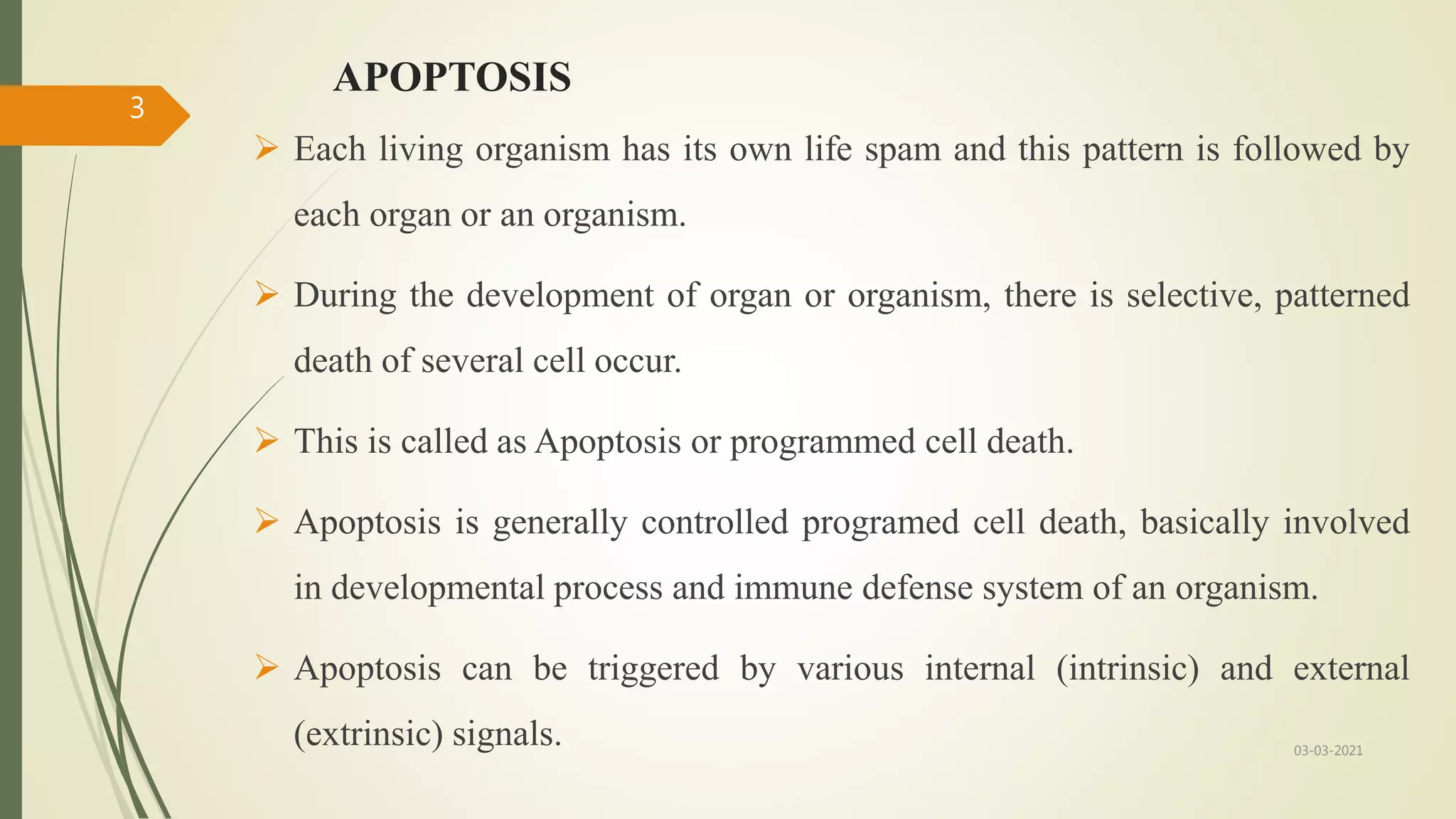 APOPTOSIS | PPT