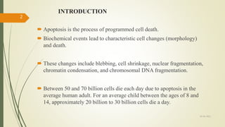 APOPTOSIS | PPT