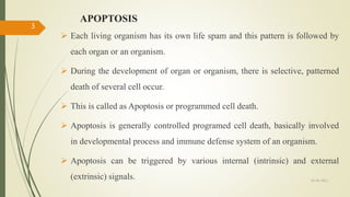 APOPTOSIS | PPTX
