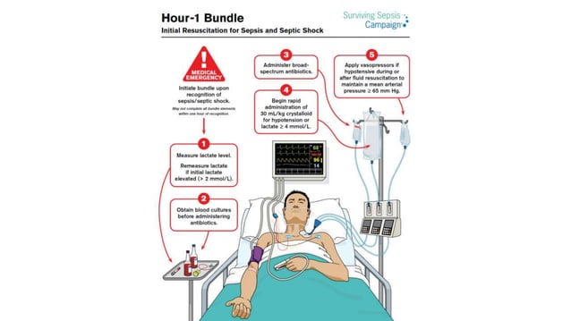 Surviving Sepsis in the Golden First Hour | PPT
