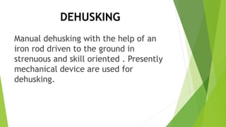 COCONUT: HARVESTING, POST HARVESTING AND BY-PRODUCTS. | PPTX