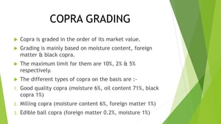 COCONUT: HARVESTING, POST HARVESTING AND BY-PRODUCTS. | PPTX