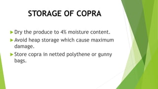 COCONUT: HARVESTING, POST HARVESTING AND BY-PRODUCTS. | PPTX