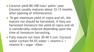 COCONUT: HARVESTING, POST HARVESTING AND BY-PRODUCTS. | PPTX