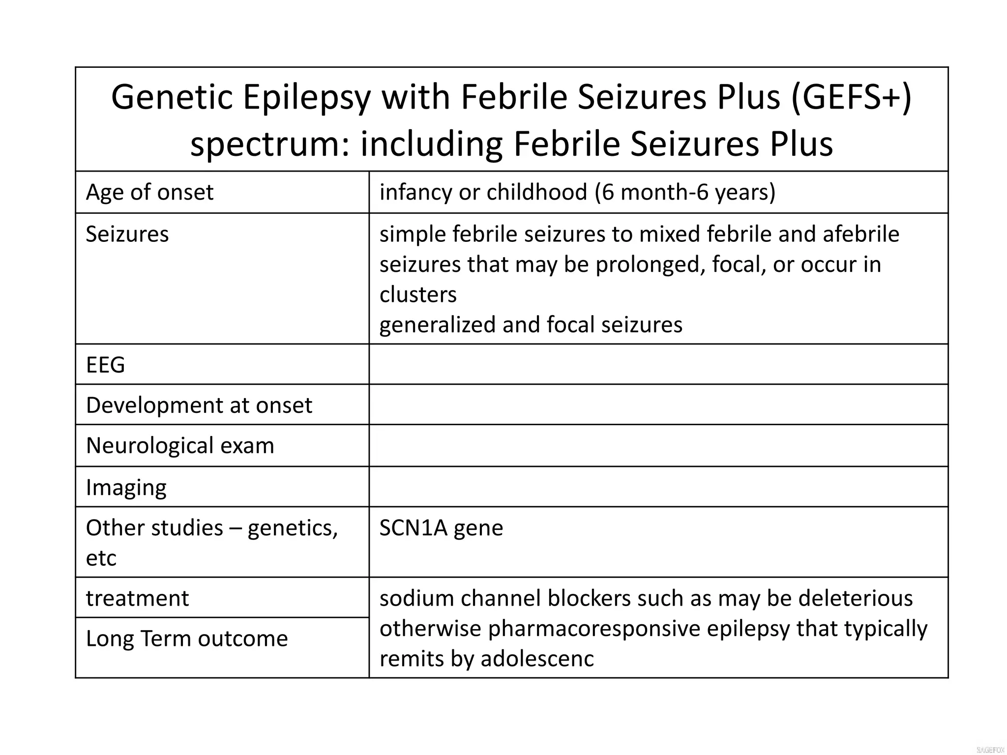 Epilepsy Syndromes | PPTX