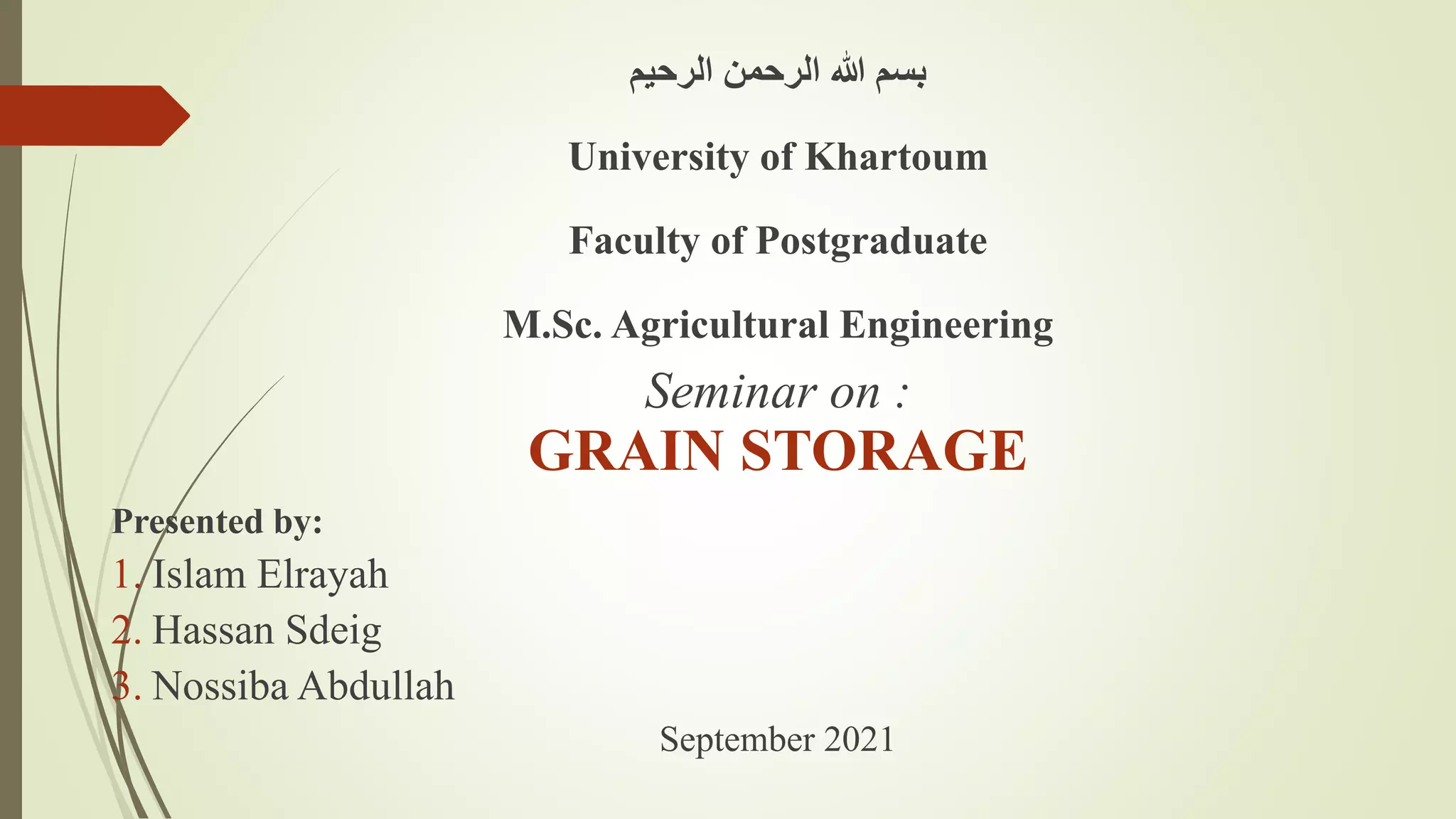 Grain Storage | PPTX